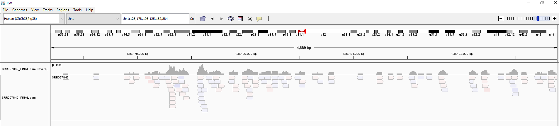 Genome Alignment Pipeline | DNA-seq_Genome_Alignment